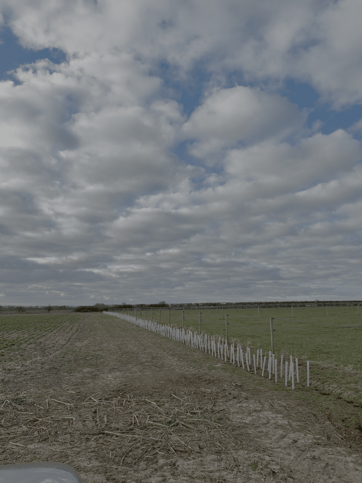 Hard Standing Areas | Commercial Groundworks | East Anglia